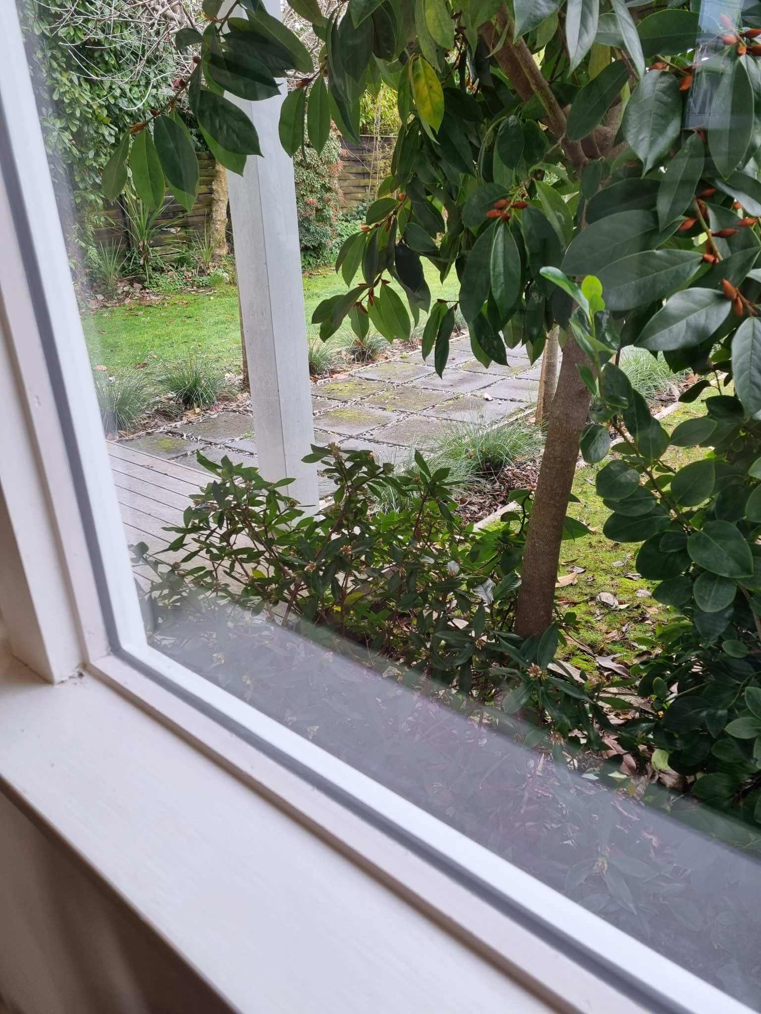 Timber Retrofit Double Glazing - RETROGLAZE | Double Glazing NZ Homes